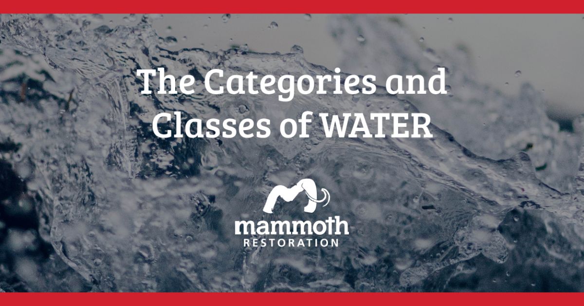 The Categories And Classes Of Water | Mammoth Restoration